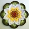 Lotus Moon CAL – Week 3